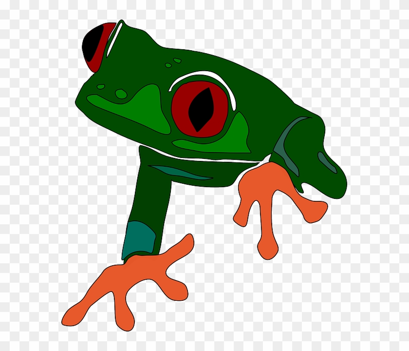 Tree Frog Vector at Vectorified.com | Collection of Tree Frog Vector ... Tree Frog Vector at Vectorified.com | Collection of Tree Frog Vector ...