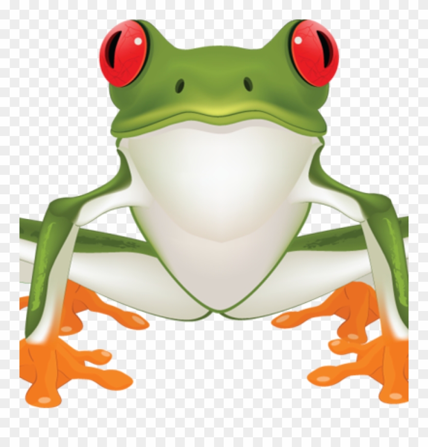Tree Frog Vector at Vectorified.com | Collection of Tree Frog Vector ... Tree Frog Vector at Vectorified.com | Collection of Tree Frog Vector ...