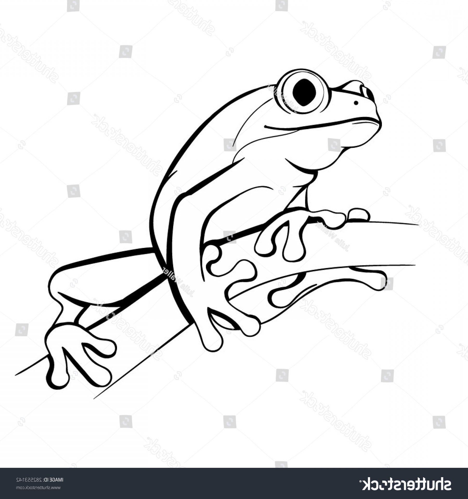 Tree Frog Vector at Vectorified.com | Collection of Tree Frog Vector ... Tree Frog Vector at Vectorified.com | Collection of Tree Frog Vector ...