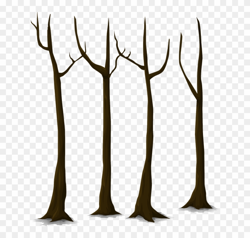 Tree Trunk Vector At Collection Of Tree Trunk Vector 