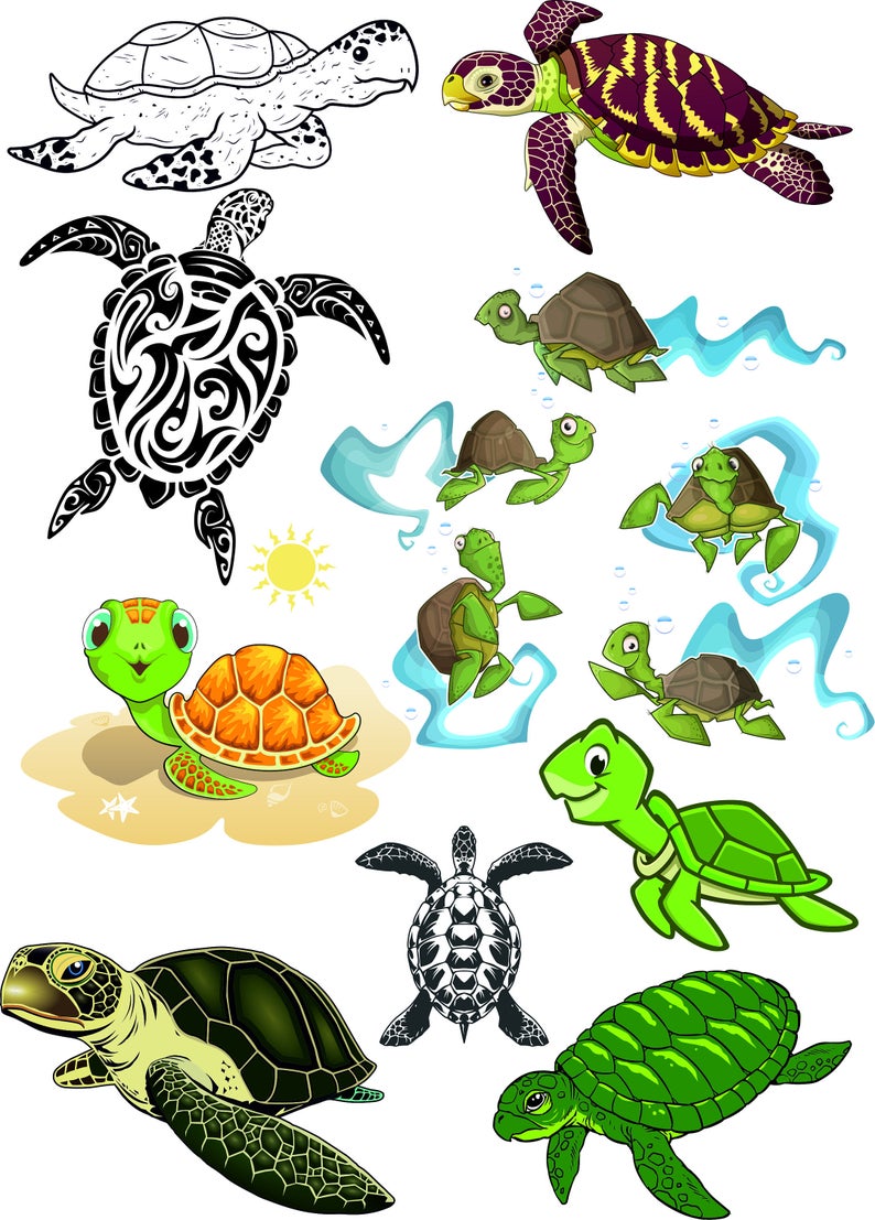 Simple Turtle Drawing at PaintingValley.com | Explore collection of ... Simple Turtle Drawing at PaintingValley.com | Explore collection of ...