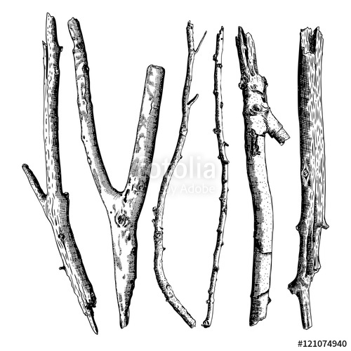 Twig Vector At Collection Of Twig Vector Free For