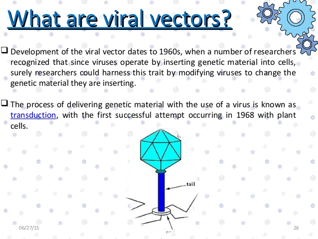 Vector Definition Biology at Vectorified.com | Collection of Vector ... Vector Definition Biology at Vectorified.com | Collection of Vector ...