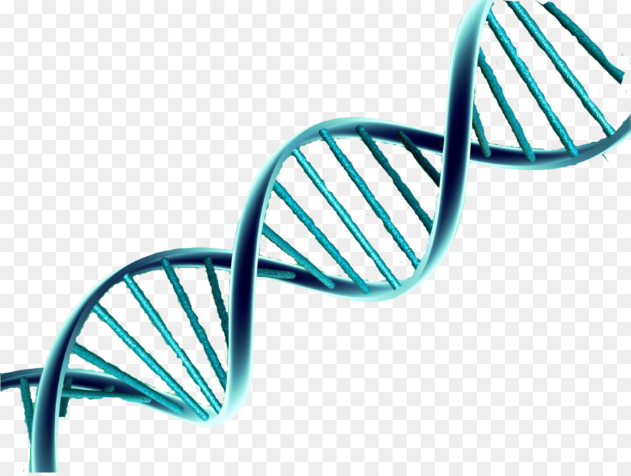 Vector Double Helix at Vectorified.com | Collection of Vector Double ... Vector Double Helix at Vectorified.com | Collection of Vector Double ...