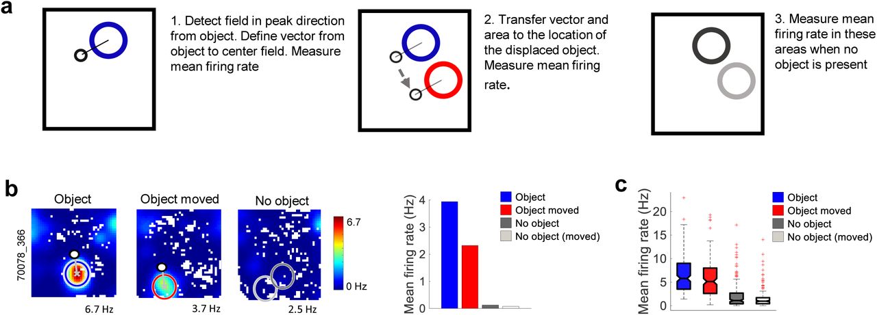 Vector Of Objects At Collection Of Vector Of Objects Free For Personal Use