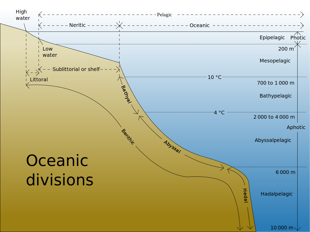 Vector Voyage Worksheet 1 At Vectorified Collection Of Vector