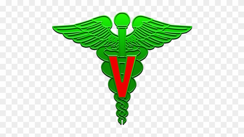 Veterinary Caduceus Vector at Vectorified.com | Collection of ... Veterinary Caduceus Vector at Vectorified.com | Collection of ...