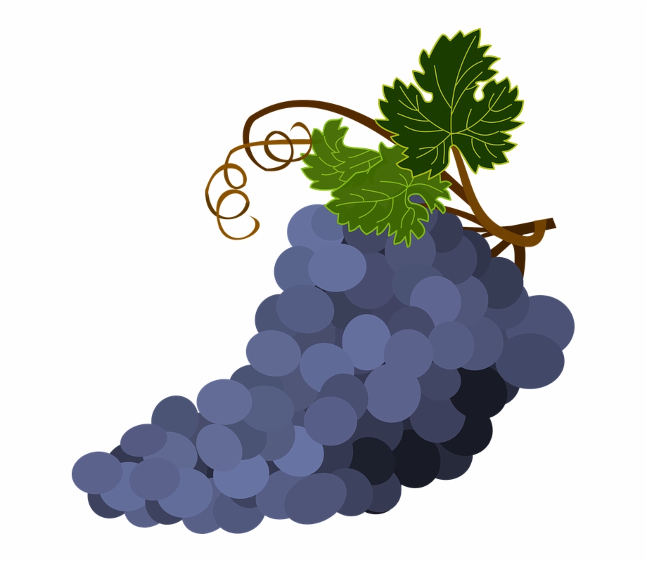 Vetor Vector at Vectorified.com | Collection of Vetor Vector free for ... Vetor Vector at Vectorified.com | Collection of Vetor Vector free for ...