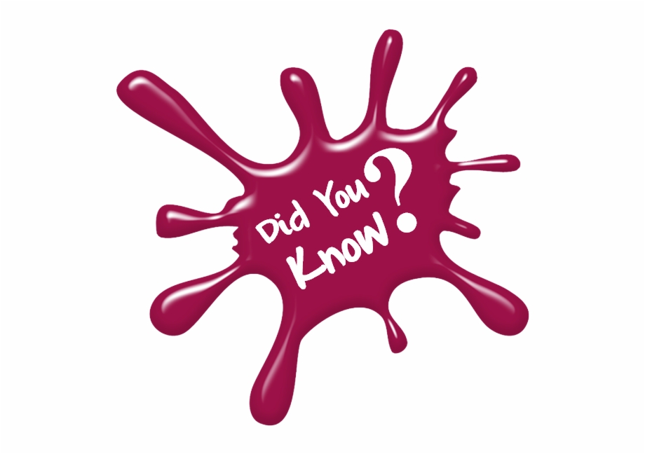 Did You Know Icon at Vectorified.com | Collection of Did You Know Icon ... Did You Know Icon at Vectorified.com | Collection of Did You Know Icon ...