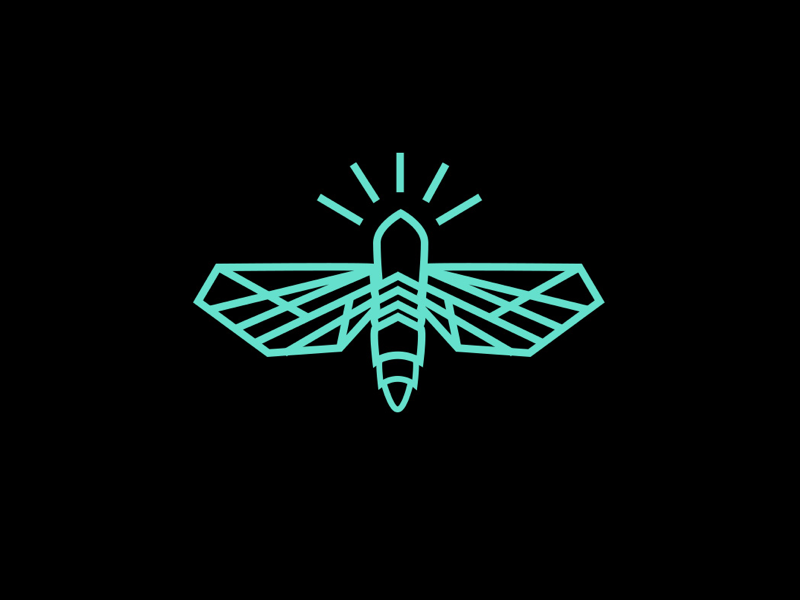 43 Firefly icon images at Vectorified.com 43 Firefly icon images at Vectorified.com