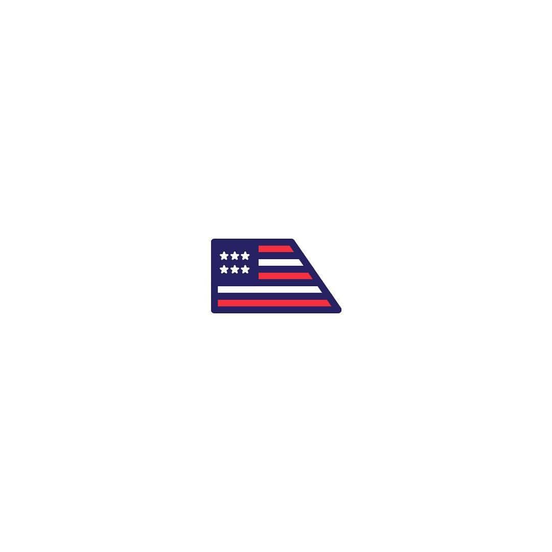 Instagram Flag Icon At Collection Of Instagram Flag Icon Free For Personal Use