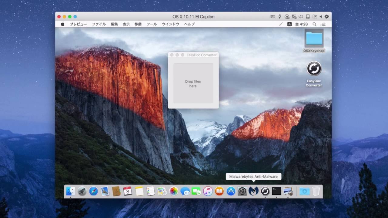 Malwarebytes Anti Malware Icon At Collection Of Malwarebytes Anti Malware Icon